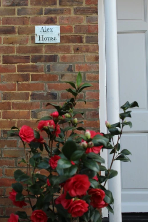 Safer Places opens first men’s refuge in Essex to provide safe place ...